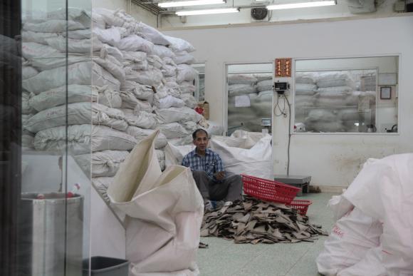 San Franciscans work to reduce shark slaughter - San Francisco Public Press