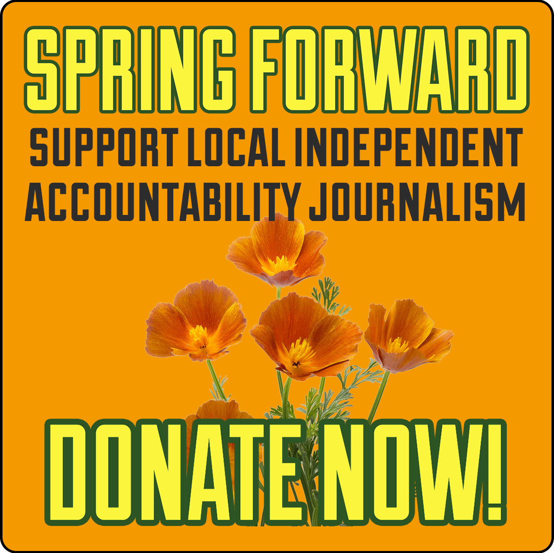 S.F. Comedy Mainstay Goes Online, International With Virtual Series ...