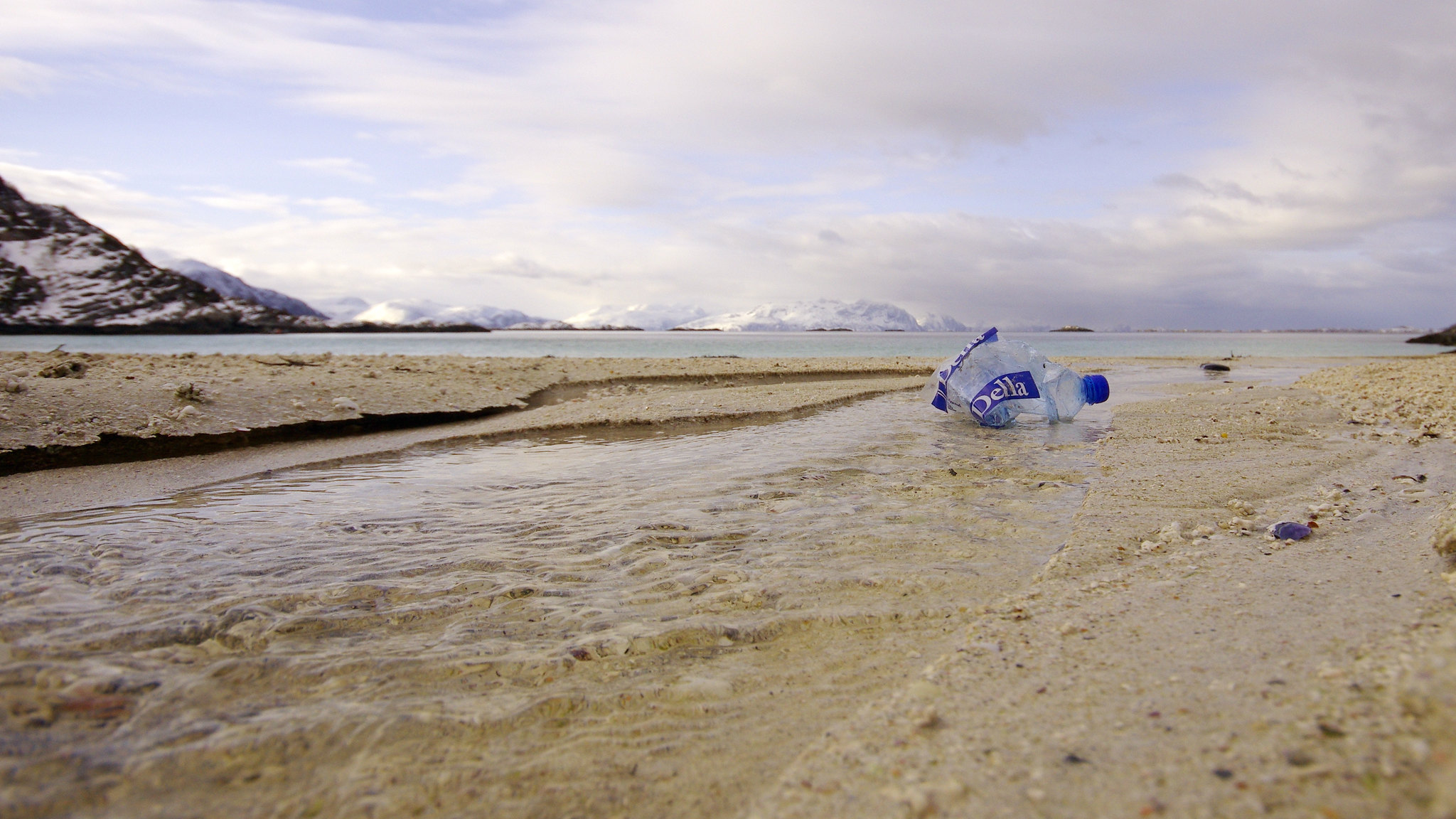 Most Litter Hauled from Beaches in 2020 Was Plastic, Foundation Reports